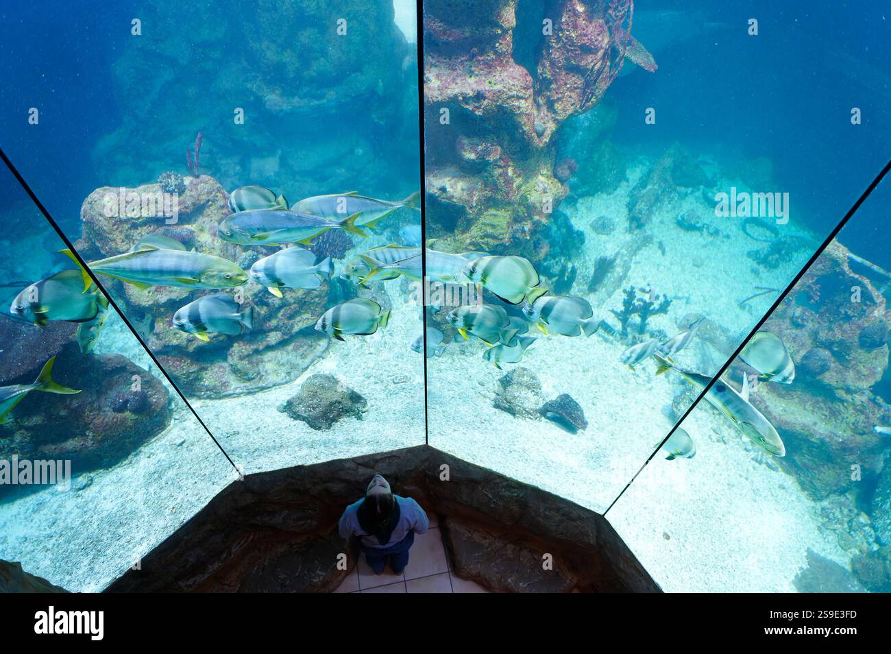 Vienna, Austria. House of the Sea Stock Photo - Alamy
