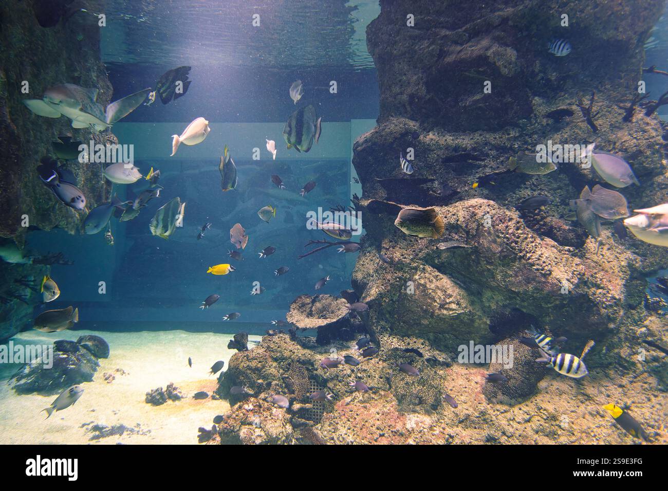 Vienna, Austria. House of the Sea Stock Photo - Alamy