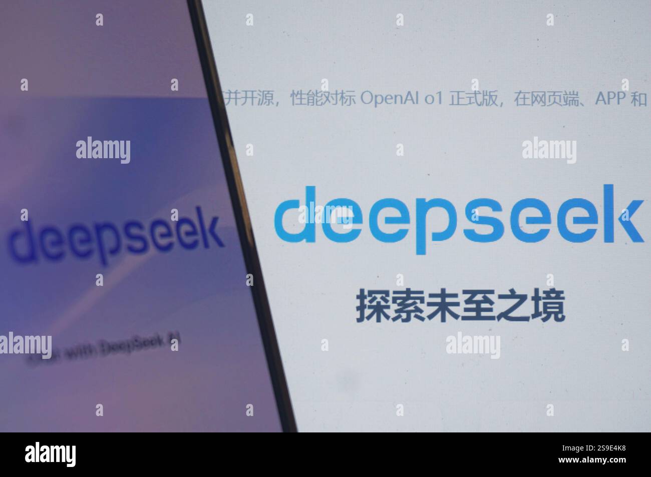 China. 26th Jan, 2025. HANGZHOU, CHINA - JANUARY 25, 2025 - The logo of ...