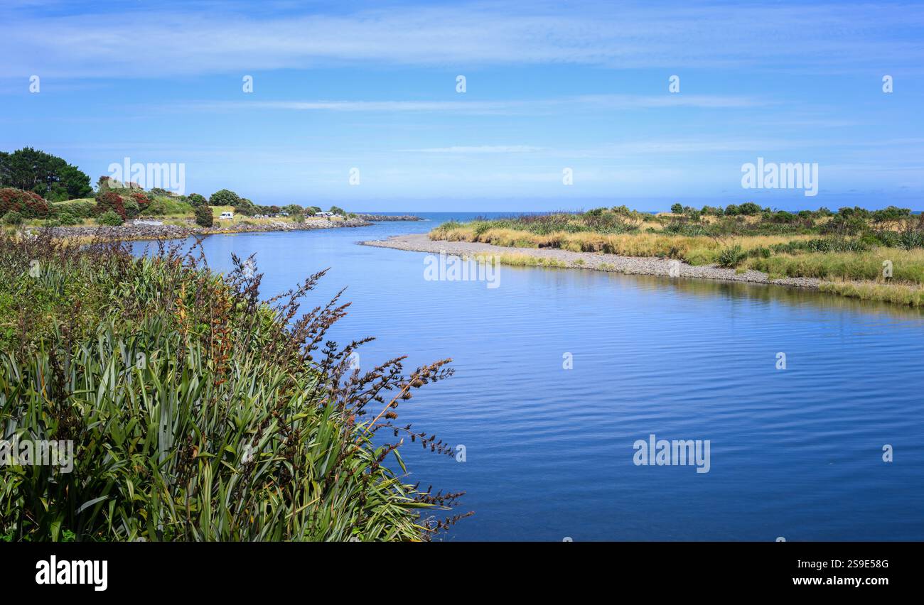 View of Waiwhakaiho river from Te Rewa Rewa Bridge. Native NZ flax and ...
