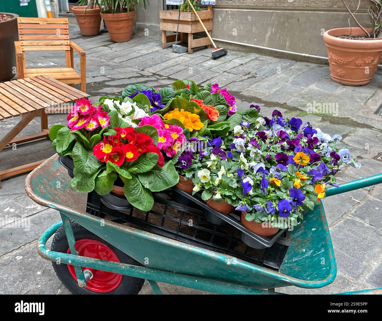 Garden wheelbarrow with flowers in center of historic old square of ...