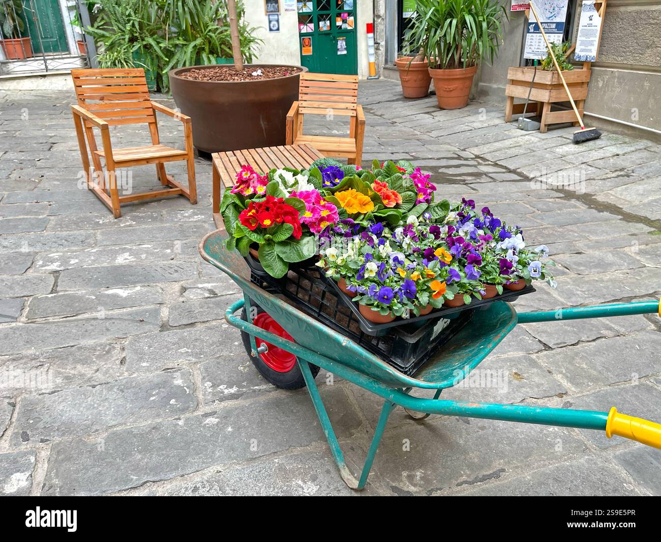 Garden wheelbarrow with flowers in center of historic old square of ...