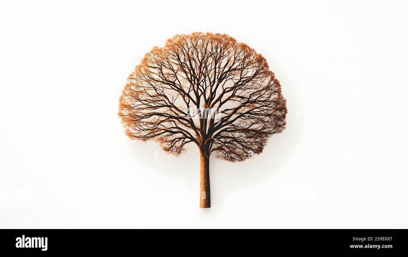 Conceptual Tree of Mind - Surreal Representation Depicting the ...