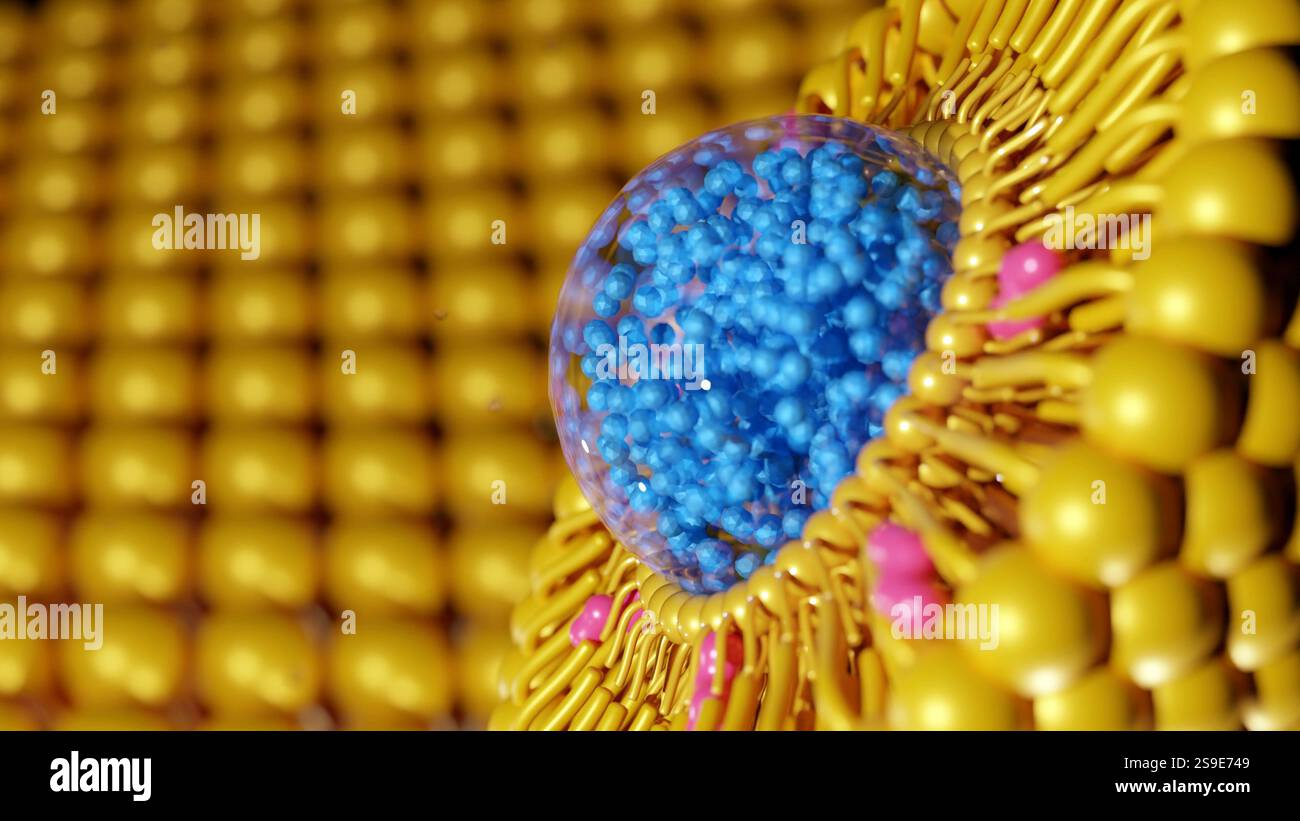 3d rendering of nanomedicine inside of liposome lipid bilayer with ...