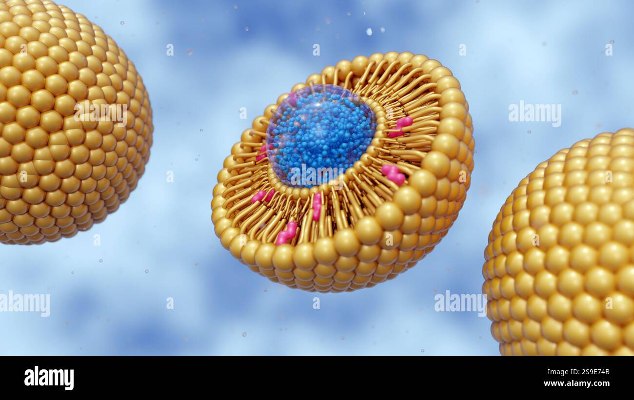 3d rendering of nanomedicine inside of liposome lipid bilayer with ...