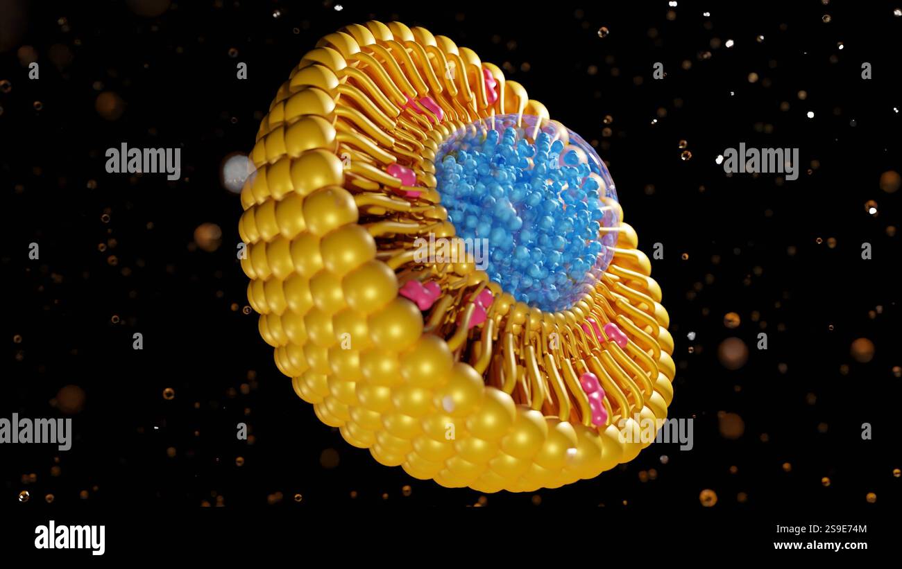 3d rendering of nanomedicine inside of liposome lipid bilayer with ...