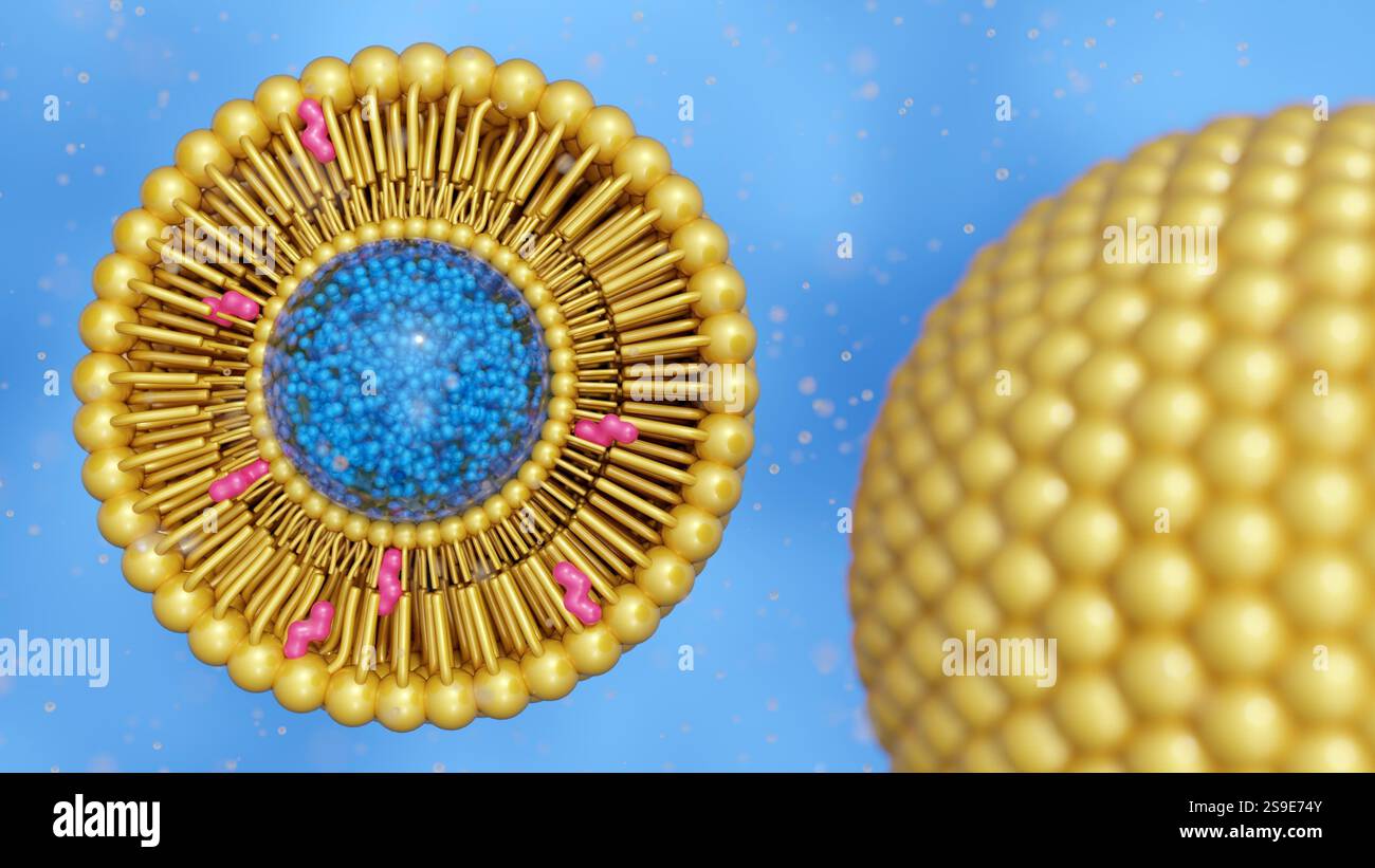 3d rendering of nanomedicine inside of liposome lipid bilayer with ...