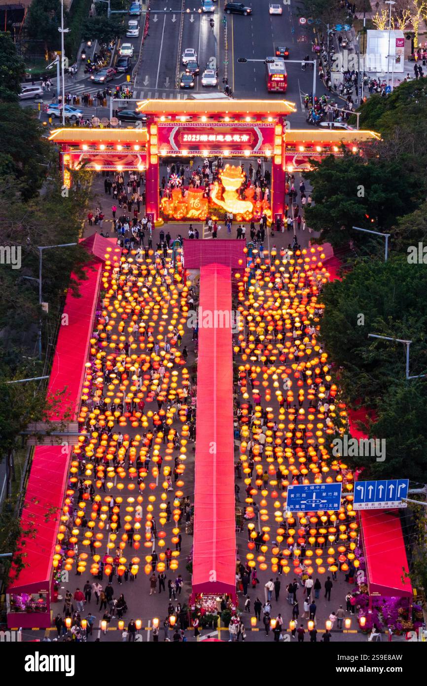 The 2025 Shenzhen Spring Flower Market opens in Shenzhen City, south ...