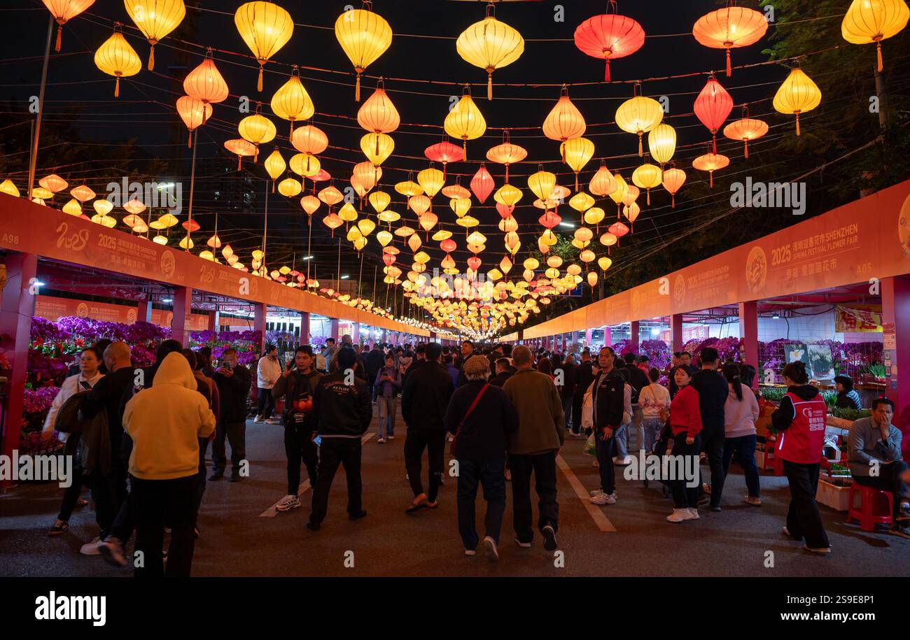 The 2025 Shenzhen Spring Flower Market opens in Shenzhen City, south ...