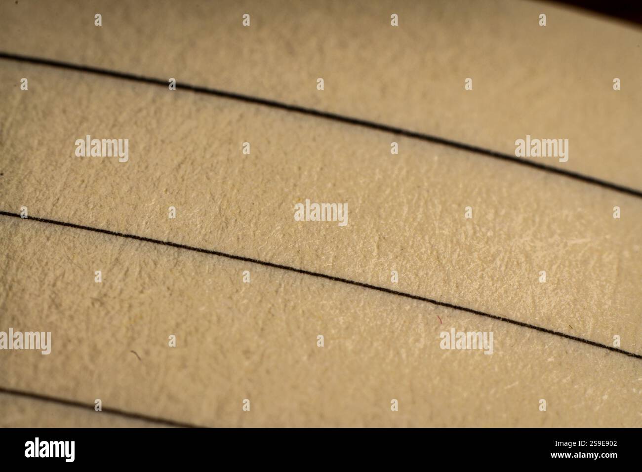 Details of an empty spiral notebook page, ready for notes and reminders ...