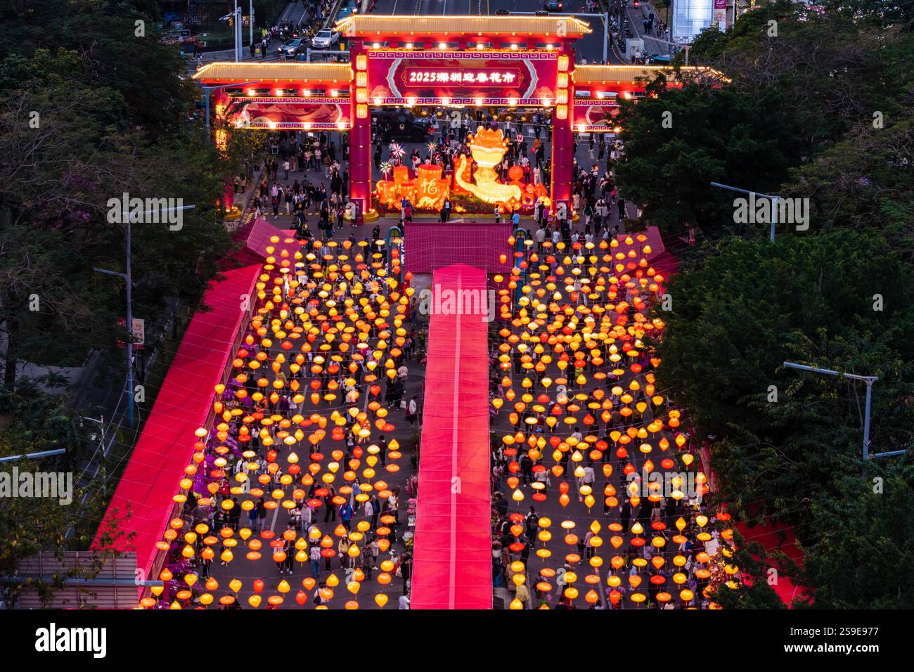 The 2025 Shenzhen Spring Flower Market opens in Shenzhen City, south ...
