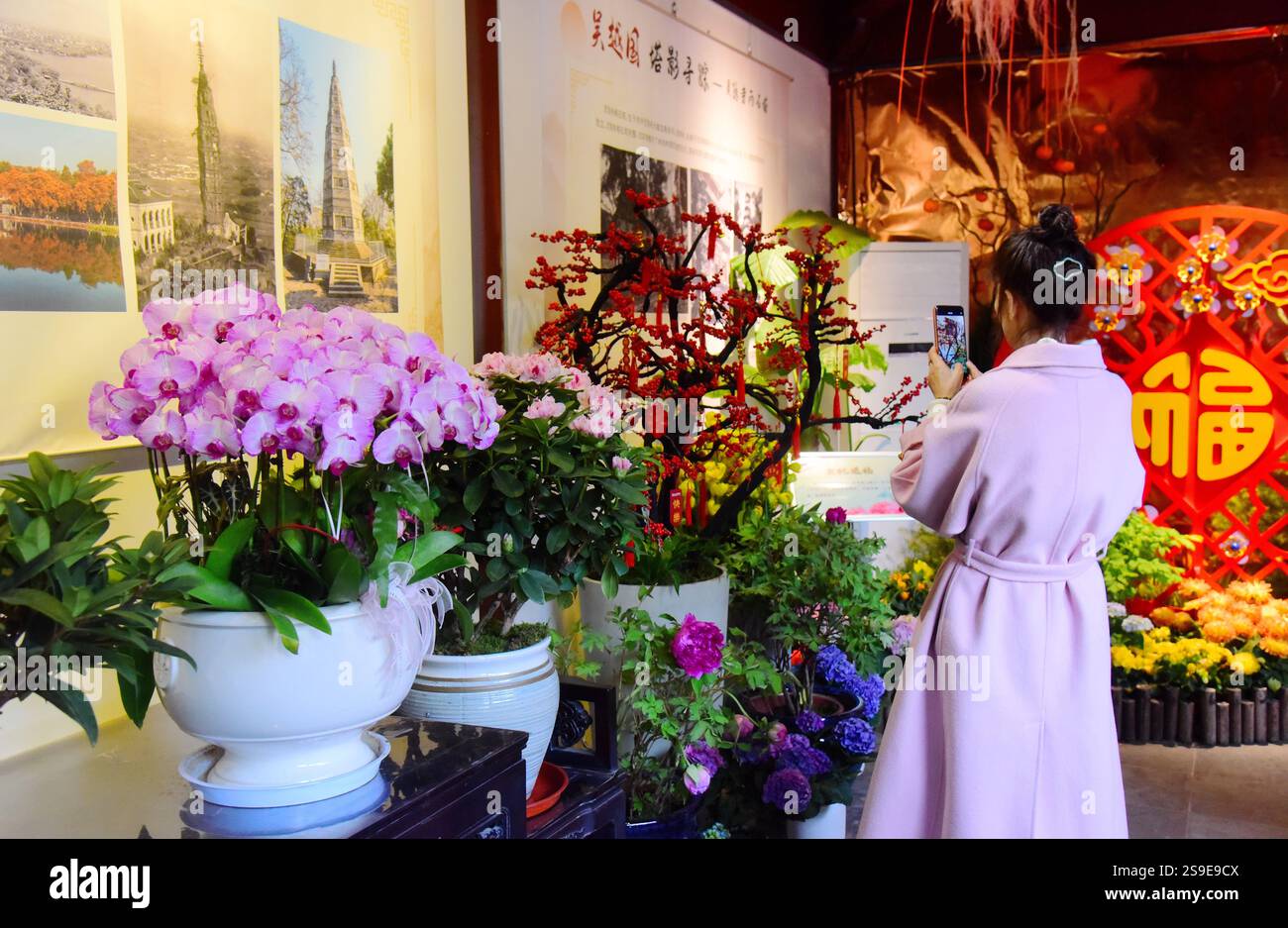The 2025 West Lake Spring Flower Show kicks off in Hangzhou City, east ...