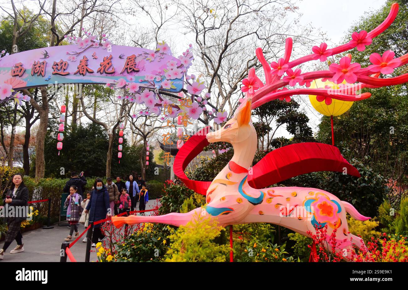 The 2025 West Lake Spring Flower Show kicks off in Hangzhou City, east ...