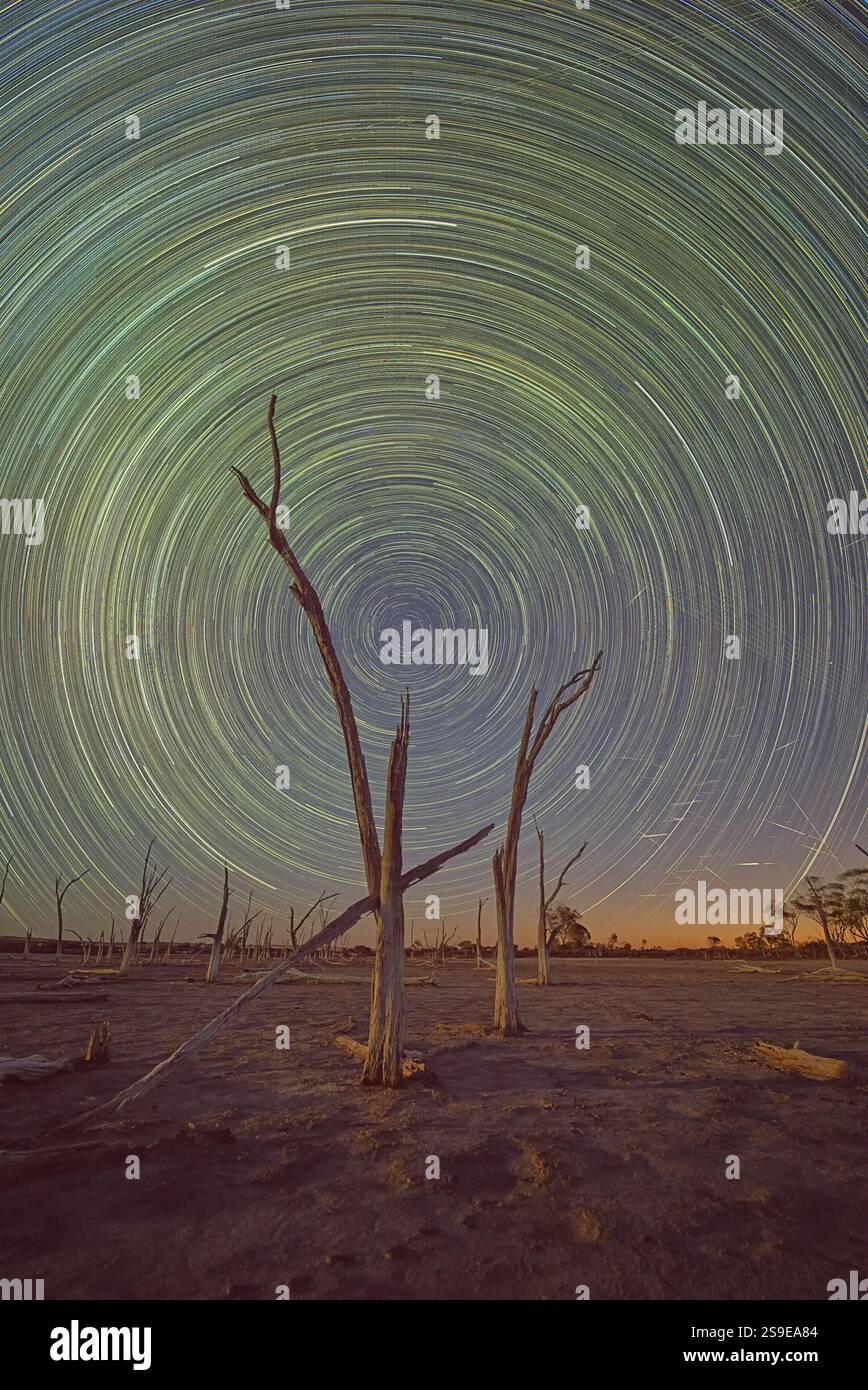 Star trails south celestial pole hi-res stock photography and images ...