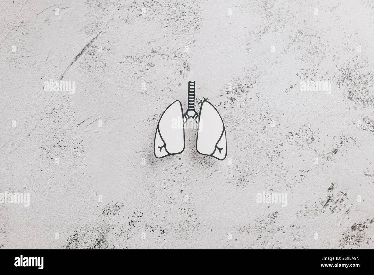 World TB Day concept with white lungs paper symbol on gray background ...