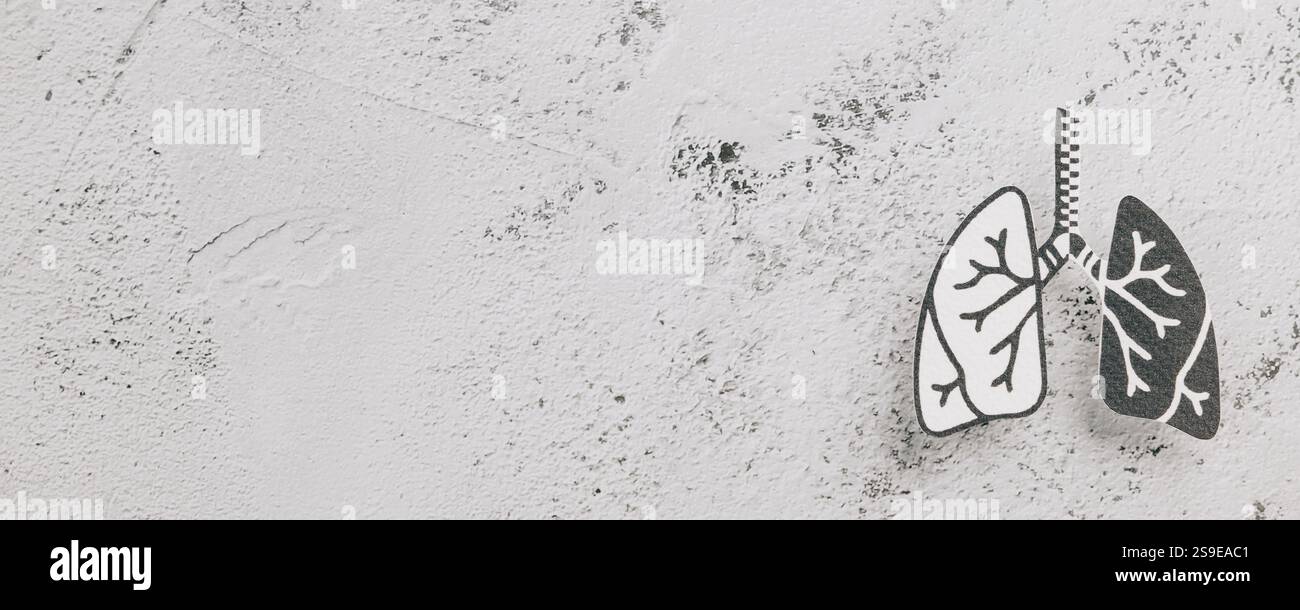 White lungs paper symbol on gray marks World TB Day. Highlighting lungs ...