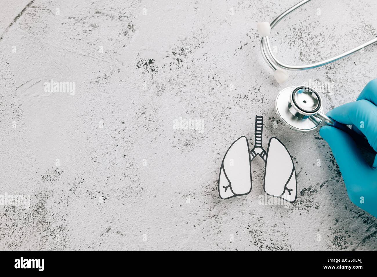 World TB Day with a doctor gloved hand checking lungs paper and ...