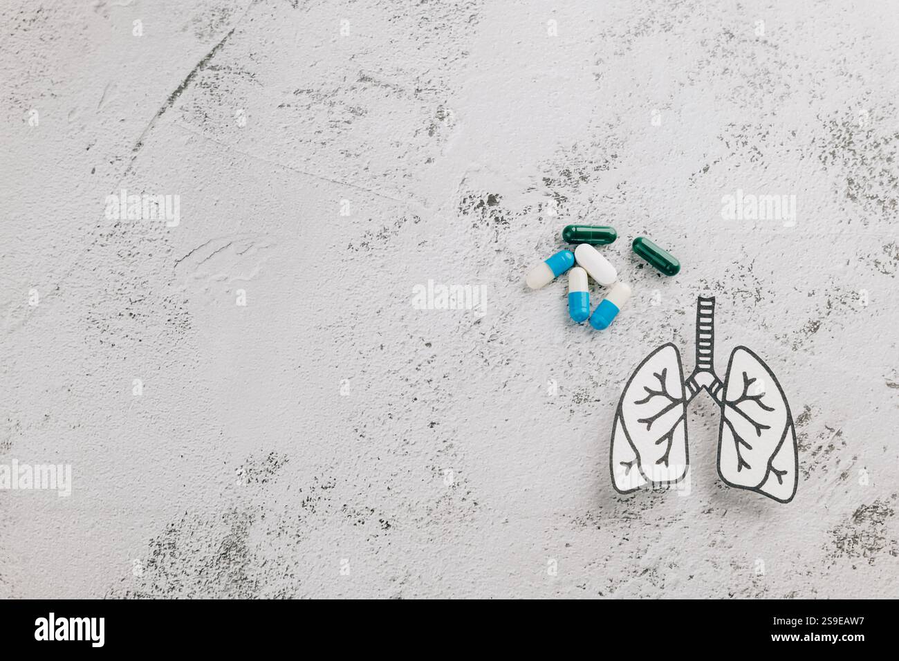 World TB Day concept with lungs paper and medicine pills on gray ...