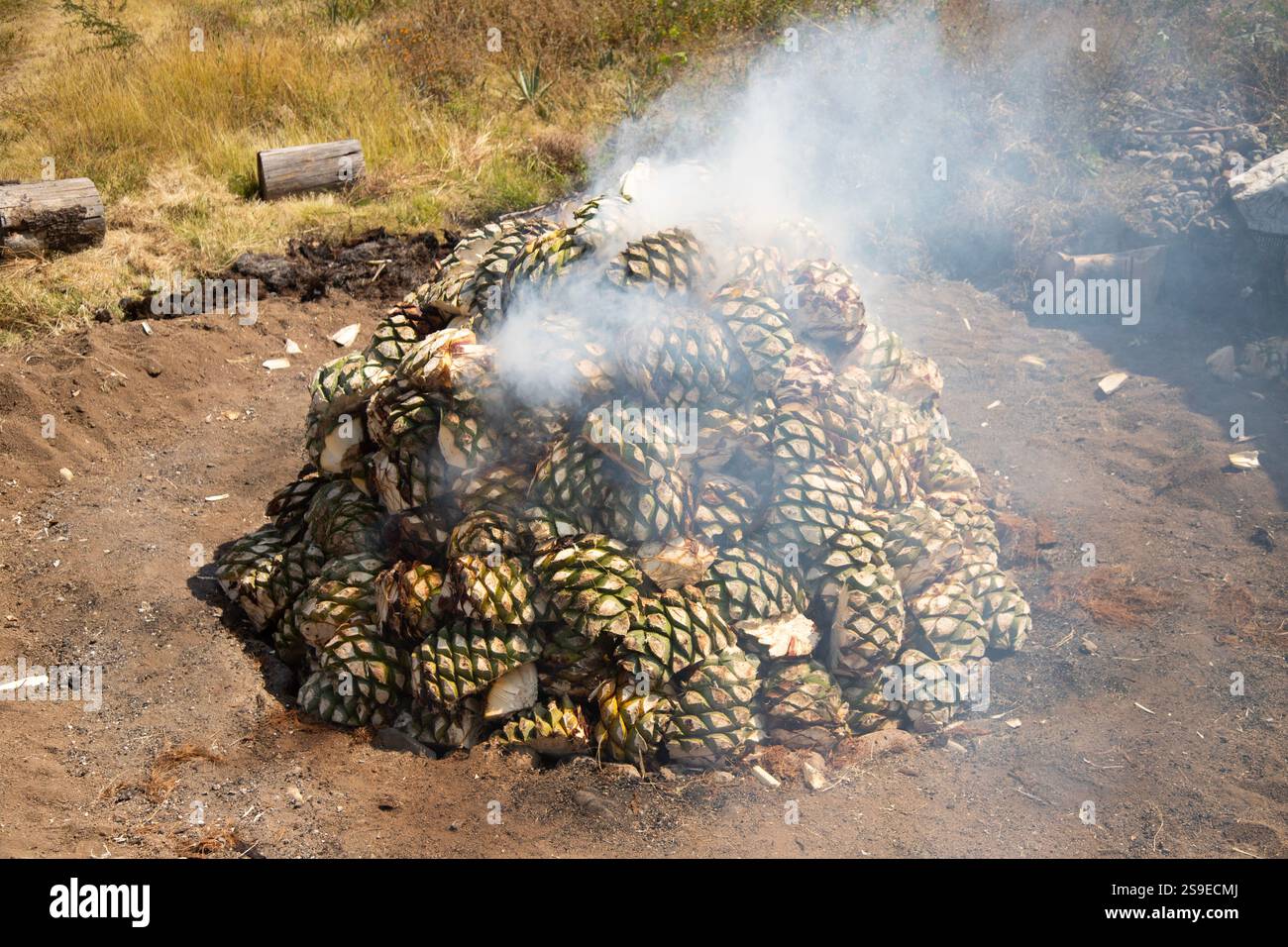 Mezcal master hi-res stock photography and images - Alamy