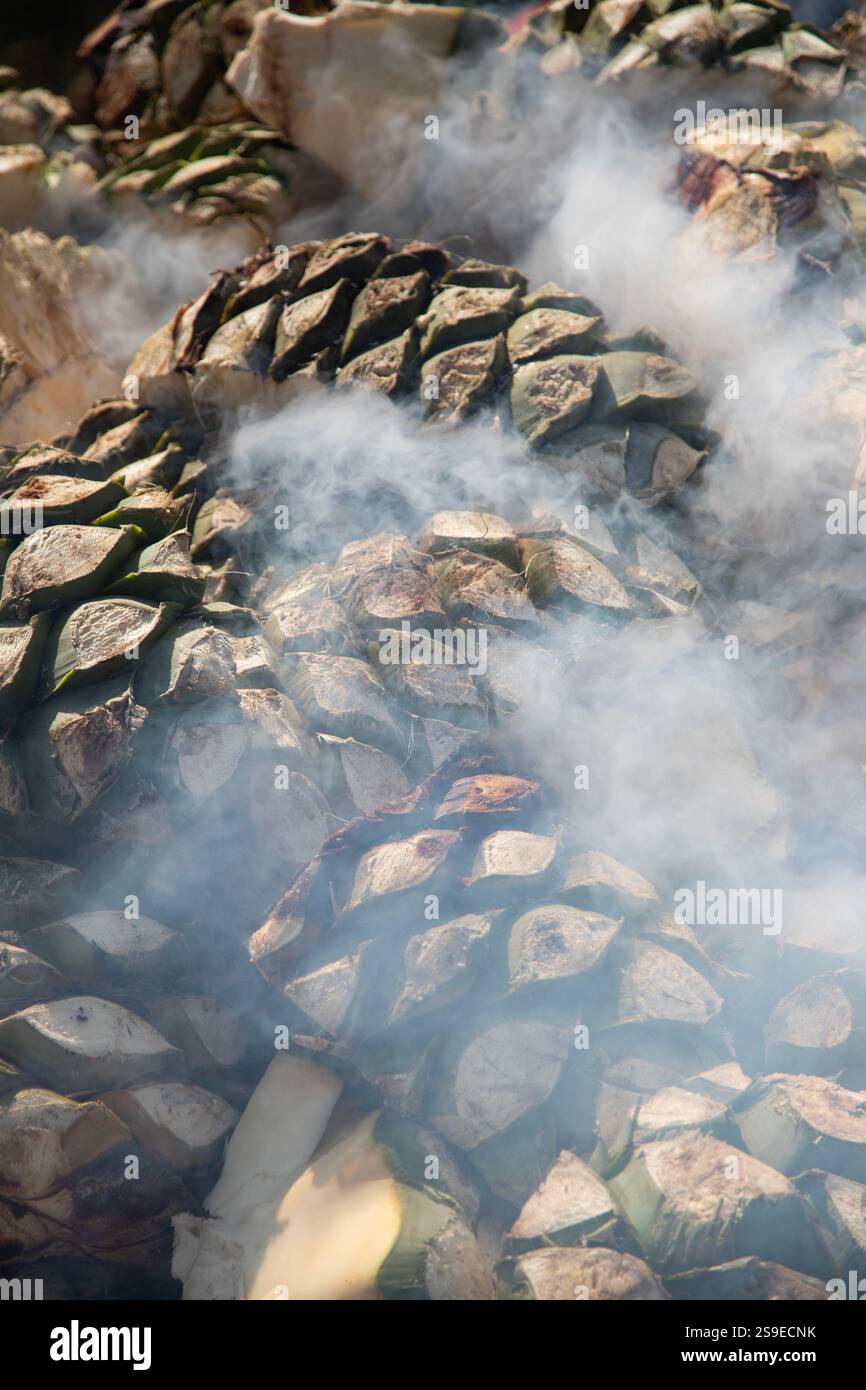 Traditional form of cooking maguey agave for the production of mezcal ...