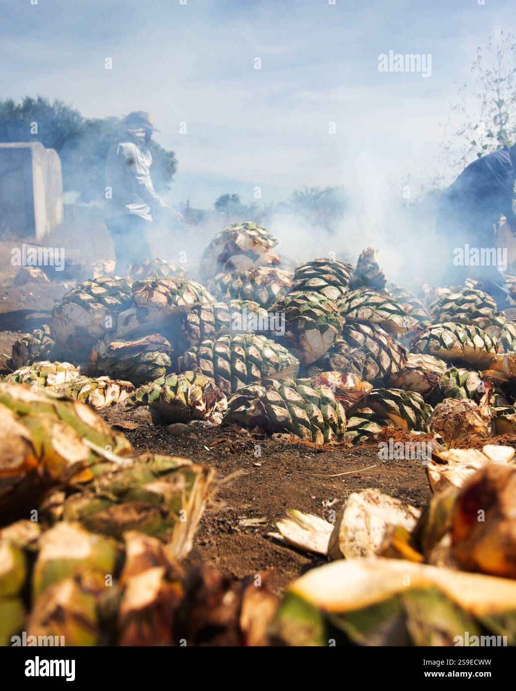 Oaxaca, Mexico 1st January 2025: Traditional process of cooking maguey ...
