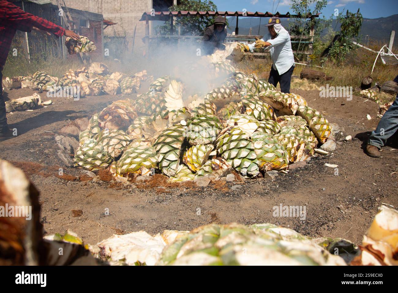 Oaxaca, Mexico 1st January 2025: Traditional process of cooking maguey ...