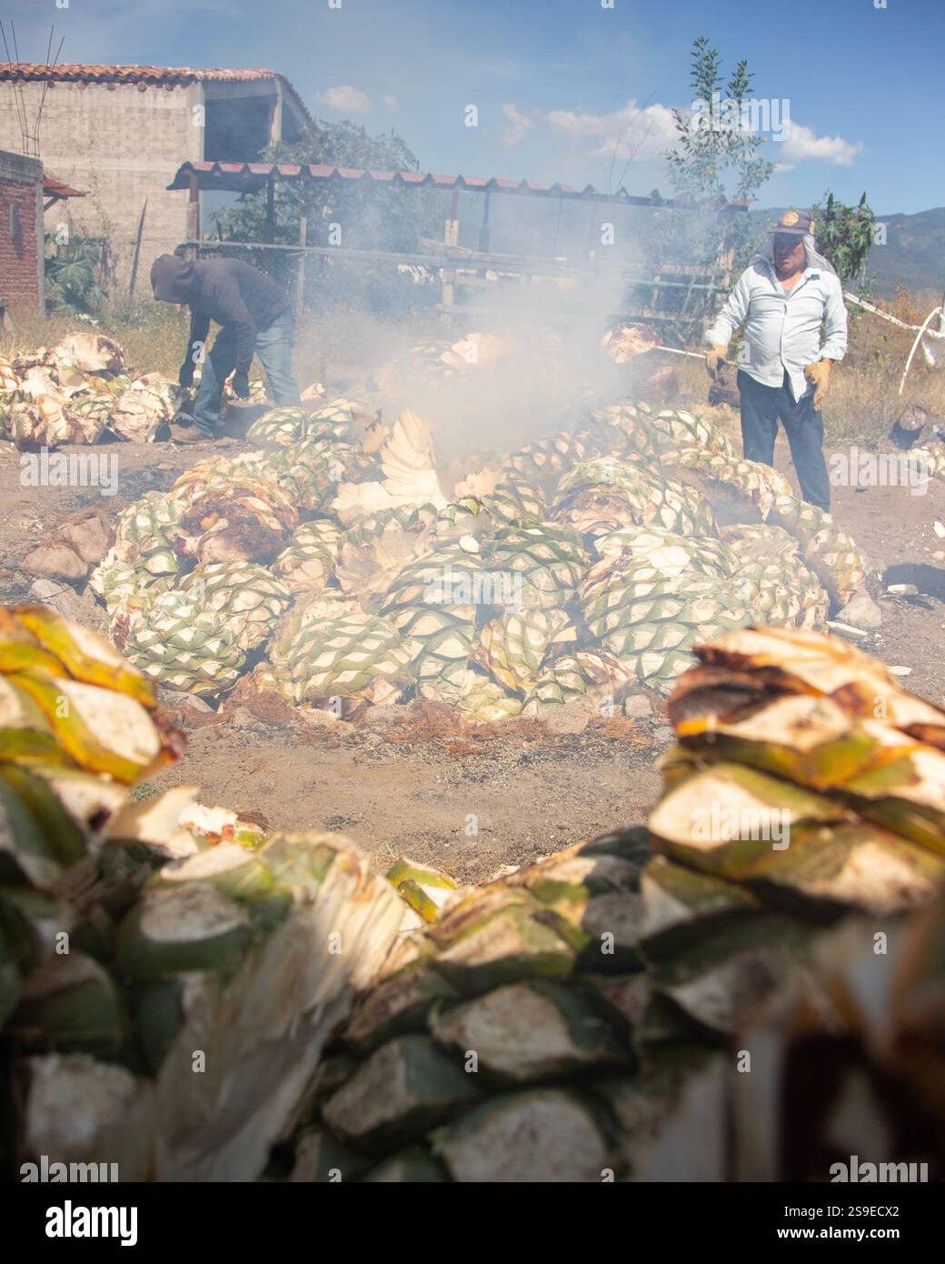Oaxaca, Mexico 1st January 2025: Traditional process of cooking maguey ...
