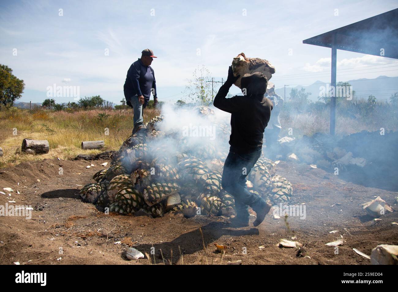 Oaxaca, Mexico 1st January 2025: Traditional process of cooking maguey ...