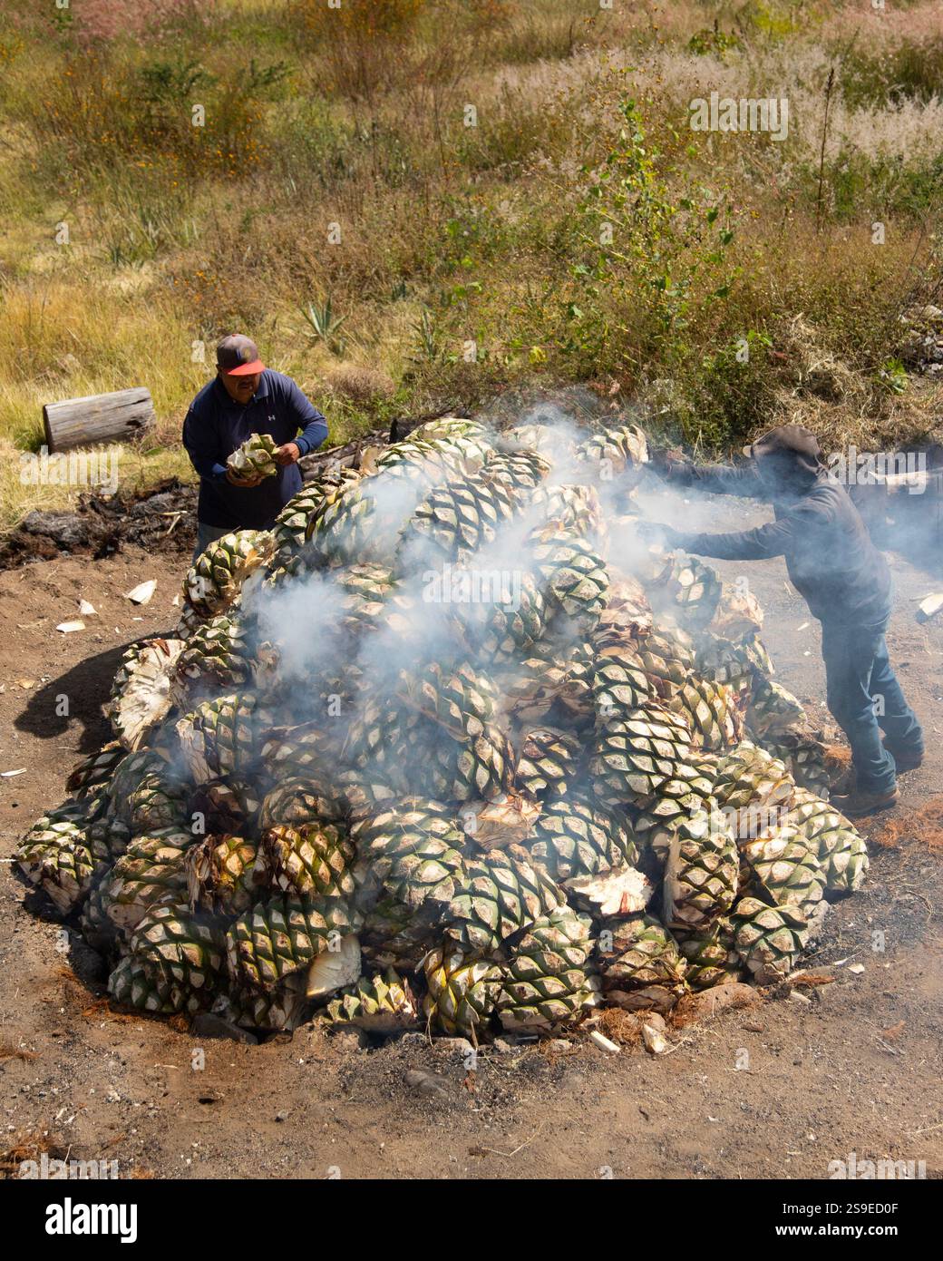 Oaxaca, Mexico 1st January 2025: Traditional process of cooking maguey ...