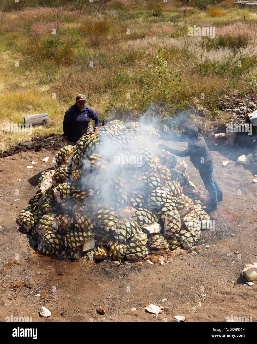 Oaxaca, Mexico 1st January 2025: Traditional process of cooking maguey ...