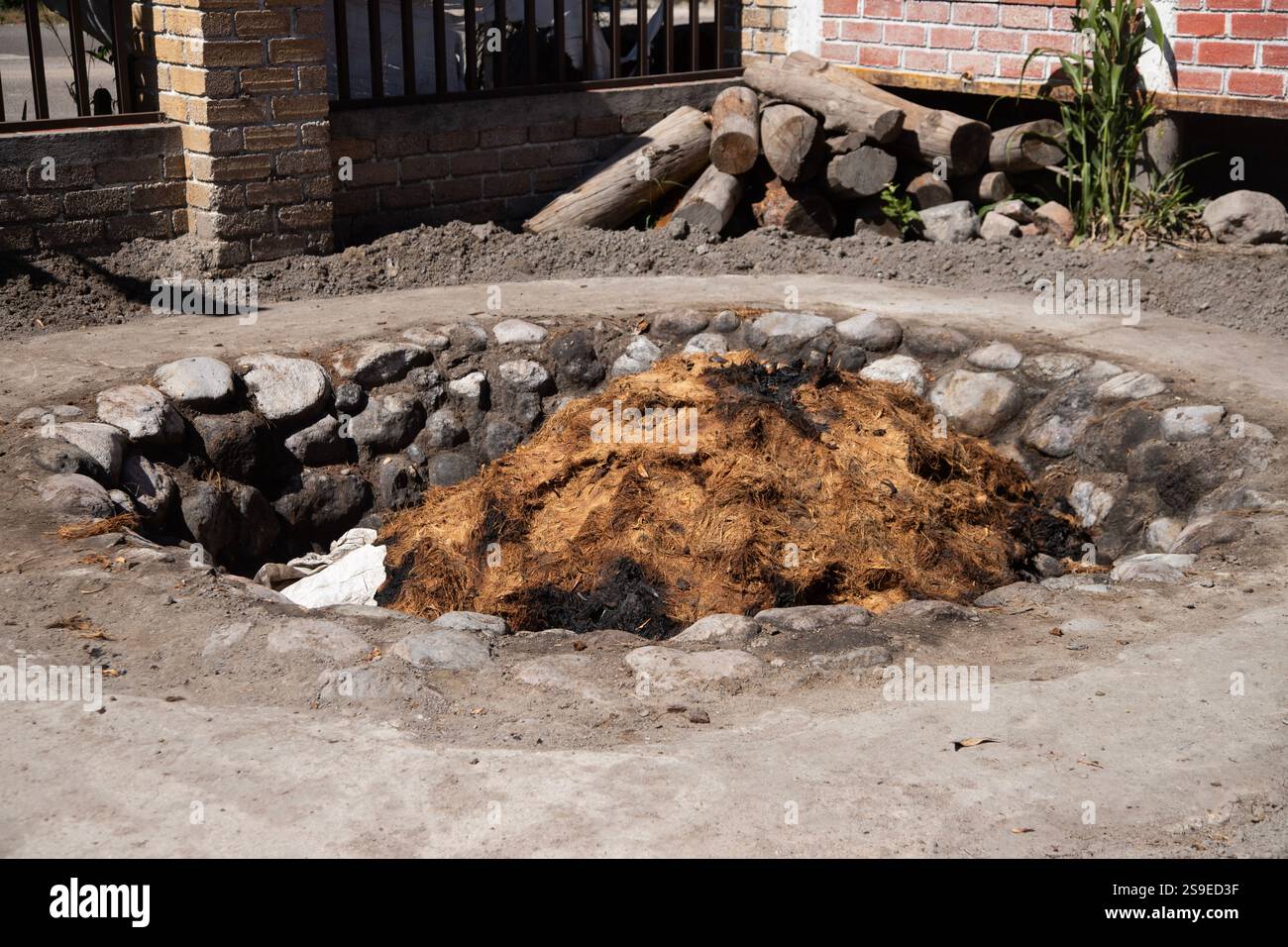 Traditional form of cooking maguey agave for the production of mezcal ...