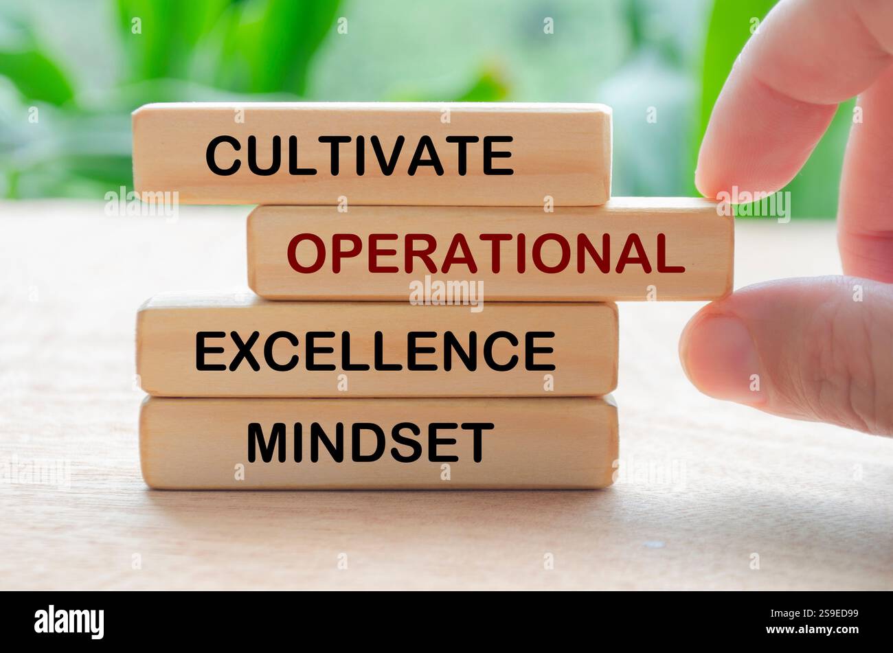 Cultivate operational excellence mindset text on wooden blocks. Culture ...