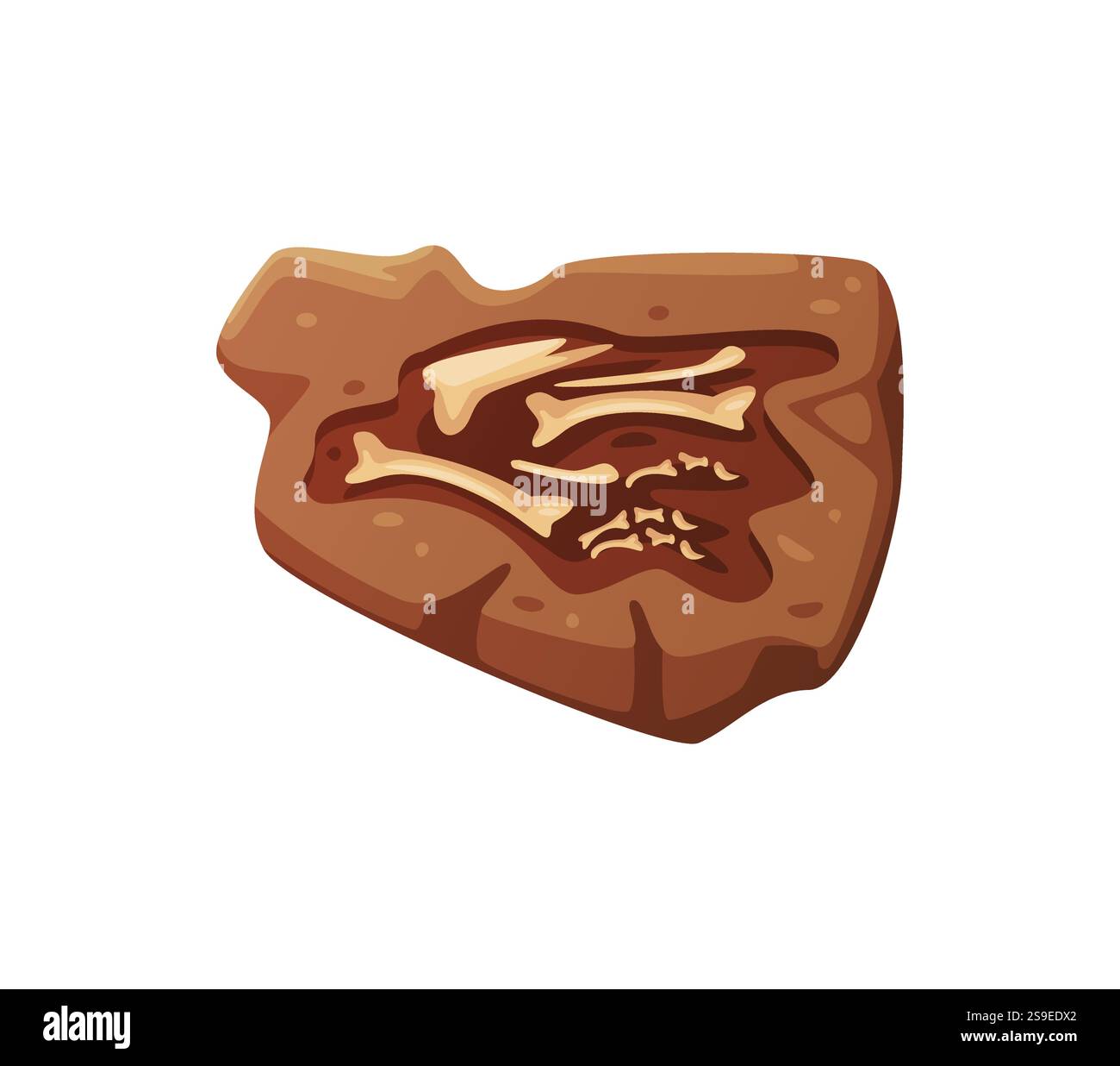 Dino fossil skeleton bones. Dinosaur parts and teeth embedded in a rock ...