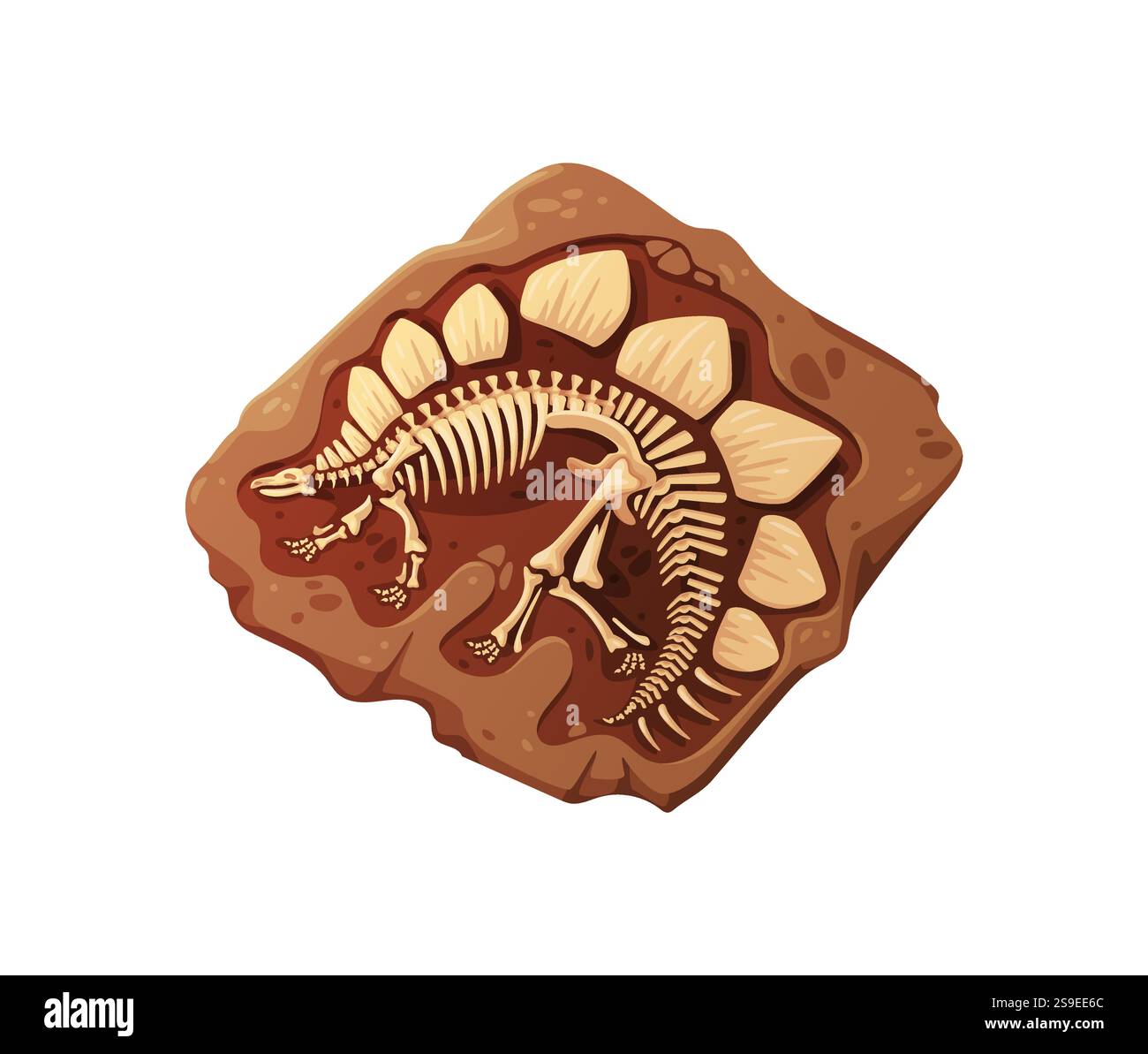 Dino fossil skeleton bones, dinosaur remains in a reddish rock ...