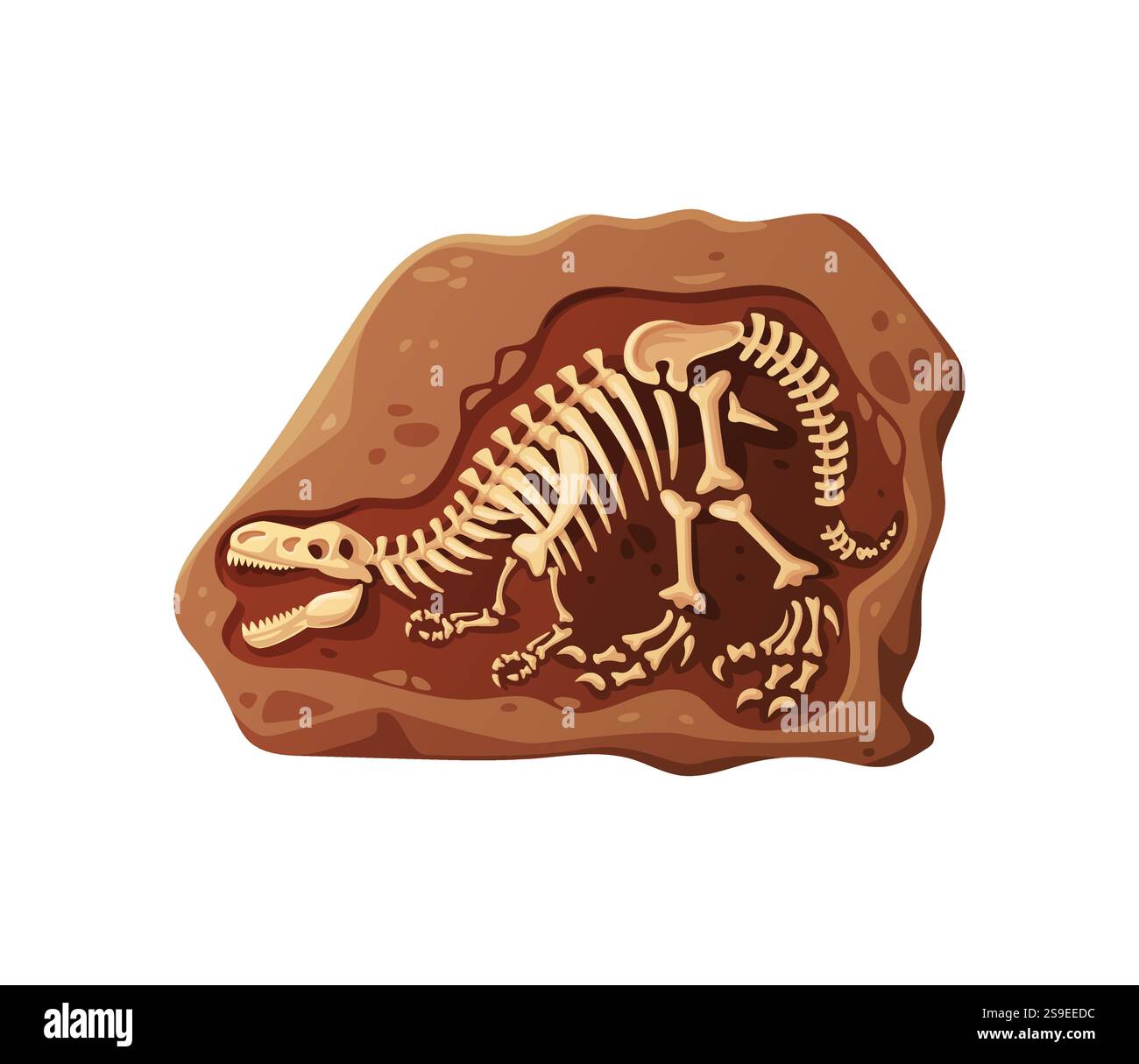 Dino fossil skeleton bones, dinosaur relics in brown rock. Isolated ...