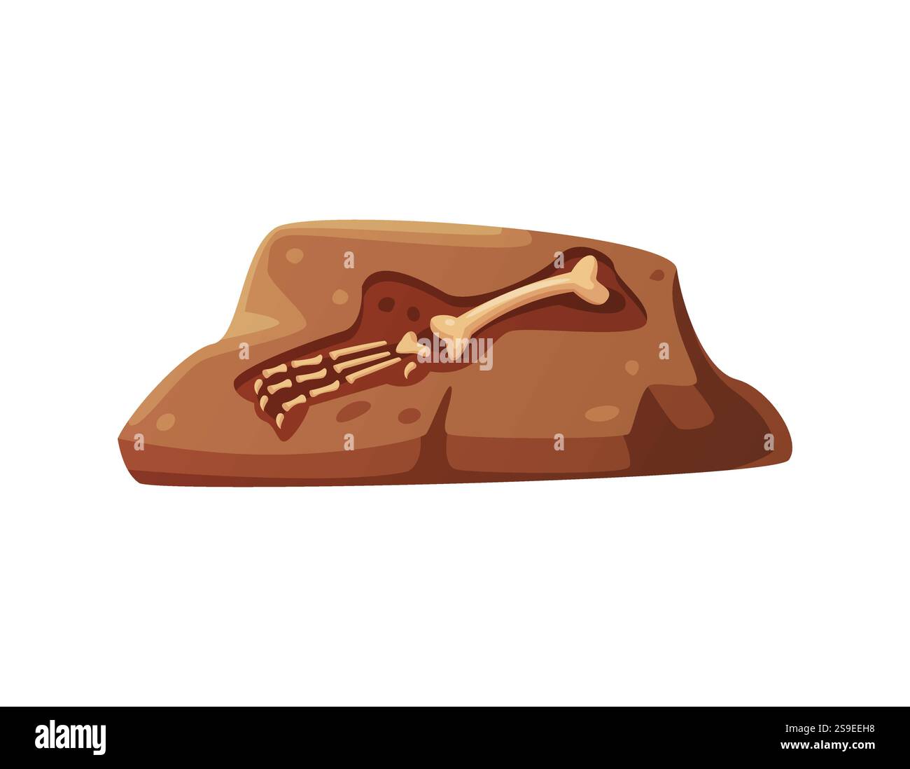 Dino fossil skeleton bones, Isolated cartoon vector skeletal dinosaur ...