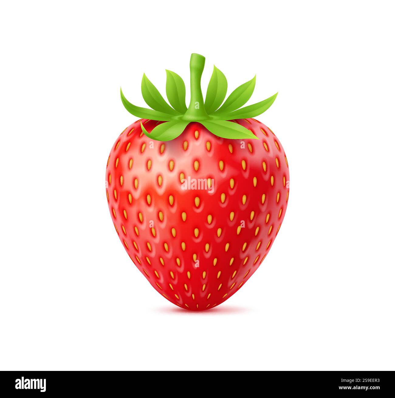 Ingredient showcase vector vectors Stock Vector Images - Alamy