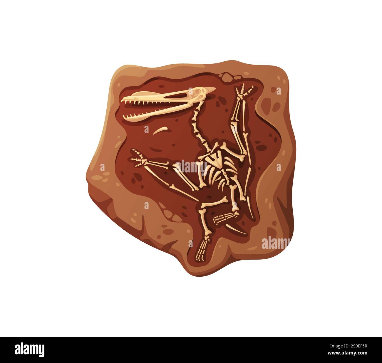 Dino fossil skeleton bones, prehistoric creature skeletal structure ...