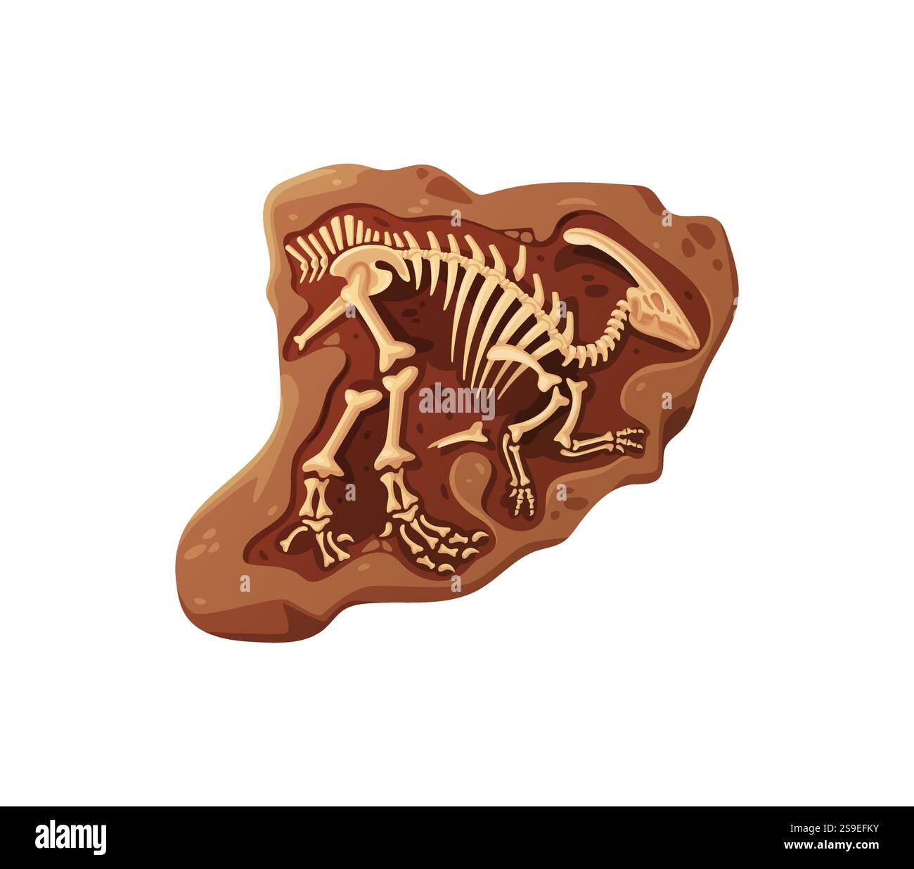 Dino fossil skeleton bones. Isolated cartoon vector dinosaur skeletal ...