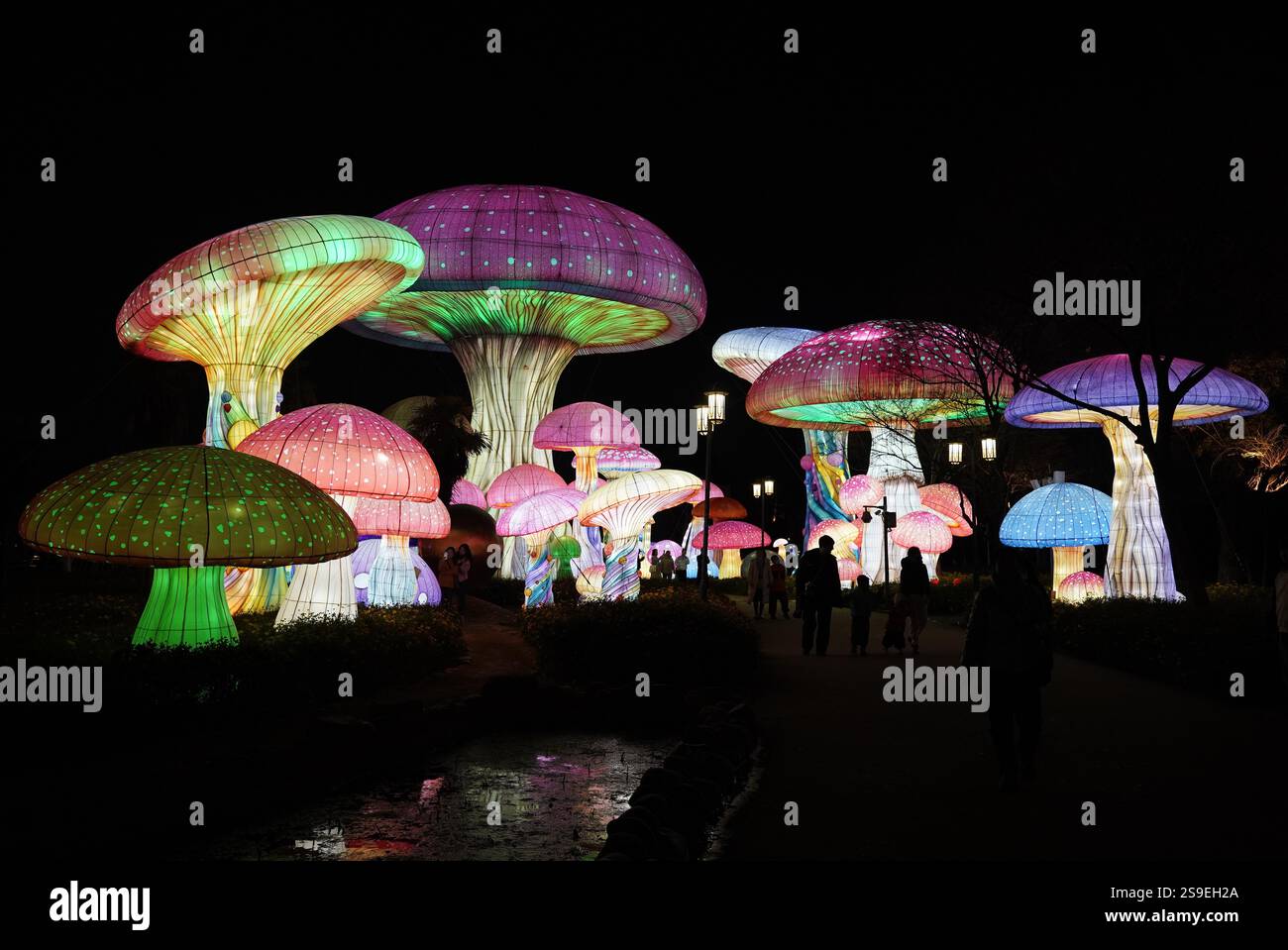 Splendid lanterns are lit up at Daguan Park in Kunming City, southwest ...