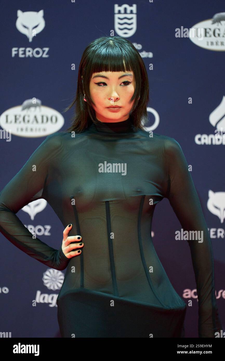 Pontevedra. Spain. 20250126, Chacha Huang attends ‘Feroz Awards' 2025 Red Carpet at Pazo de la ...