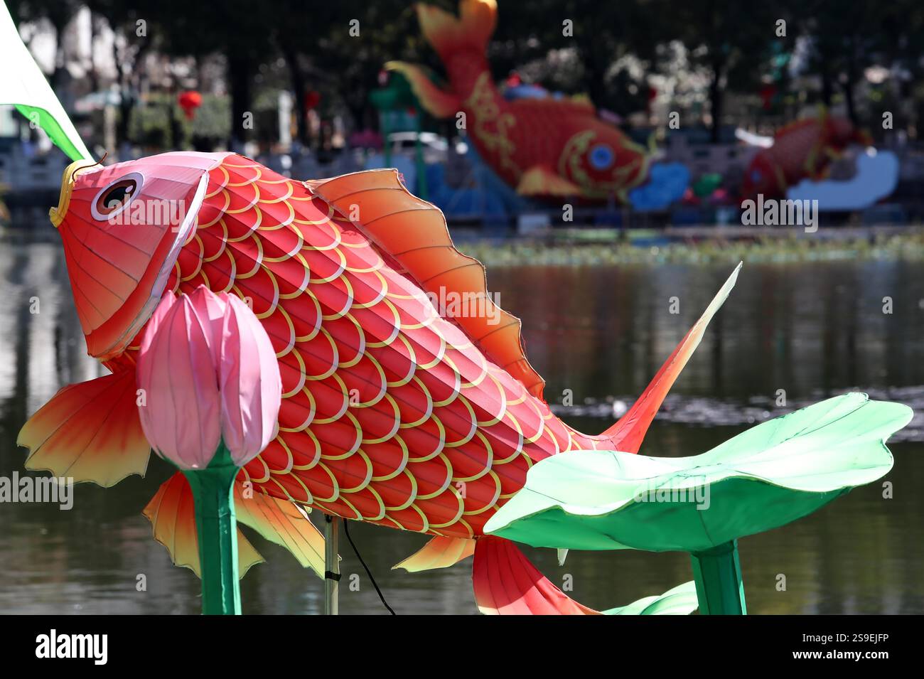 Colorful flowers burst into bloom at Cuihu Park in Kunming City ...