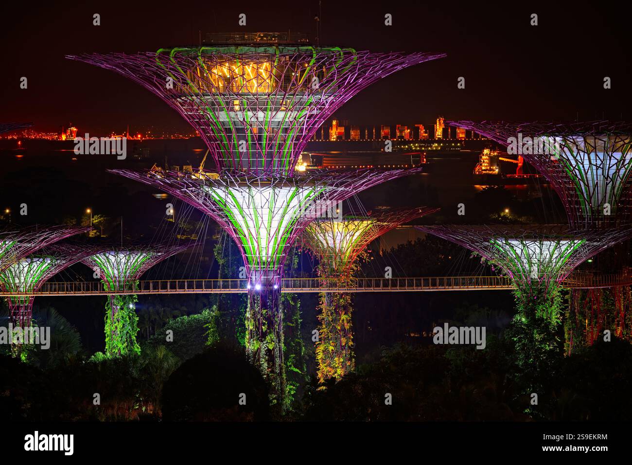 Singapore, Supertree Grove at night, Gardens by the Bay, light lighting ...