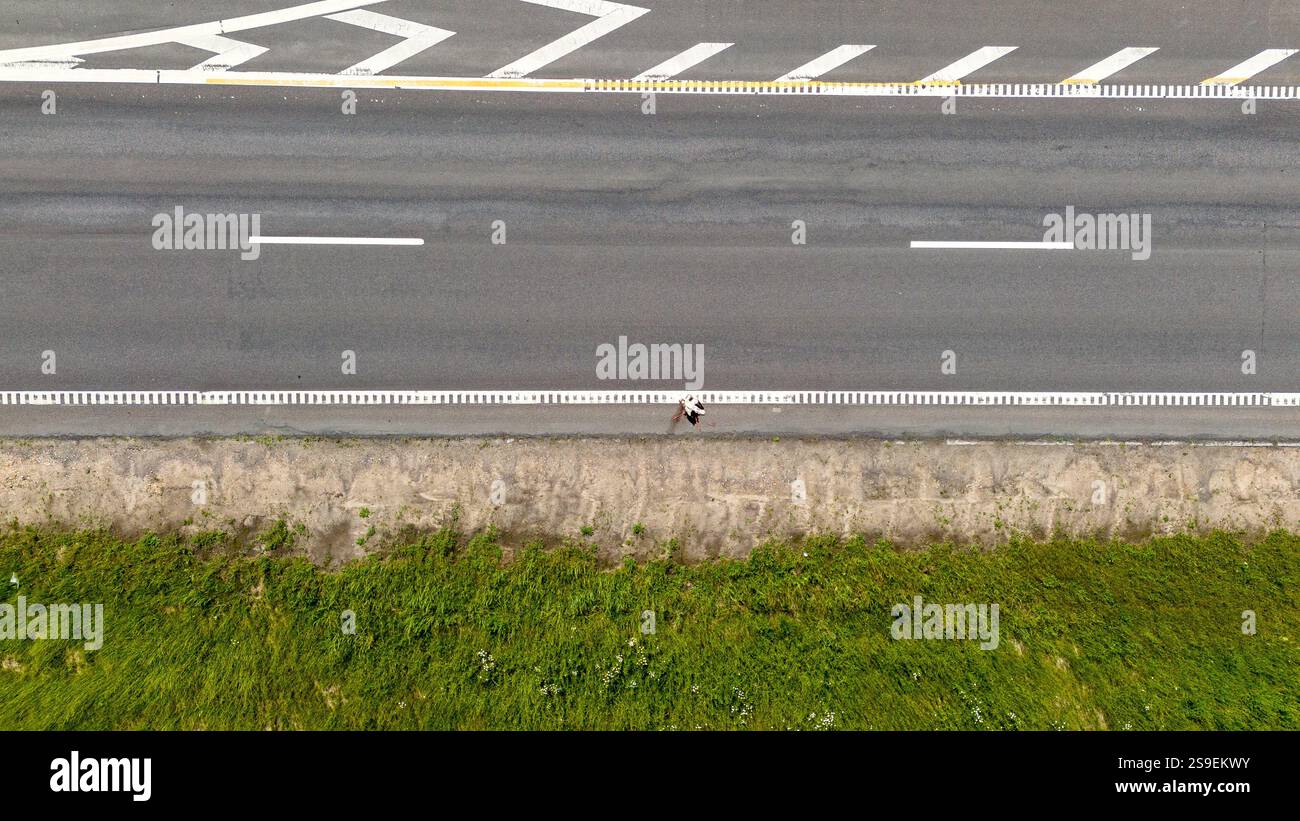 Dead Stork on Highway Shoulder Stock Photo - Alamy
