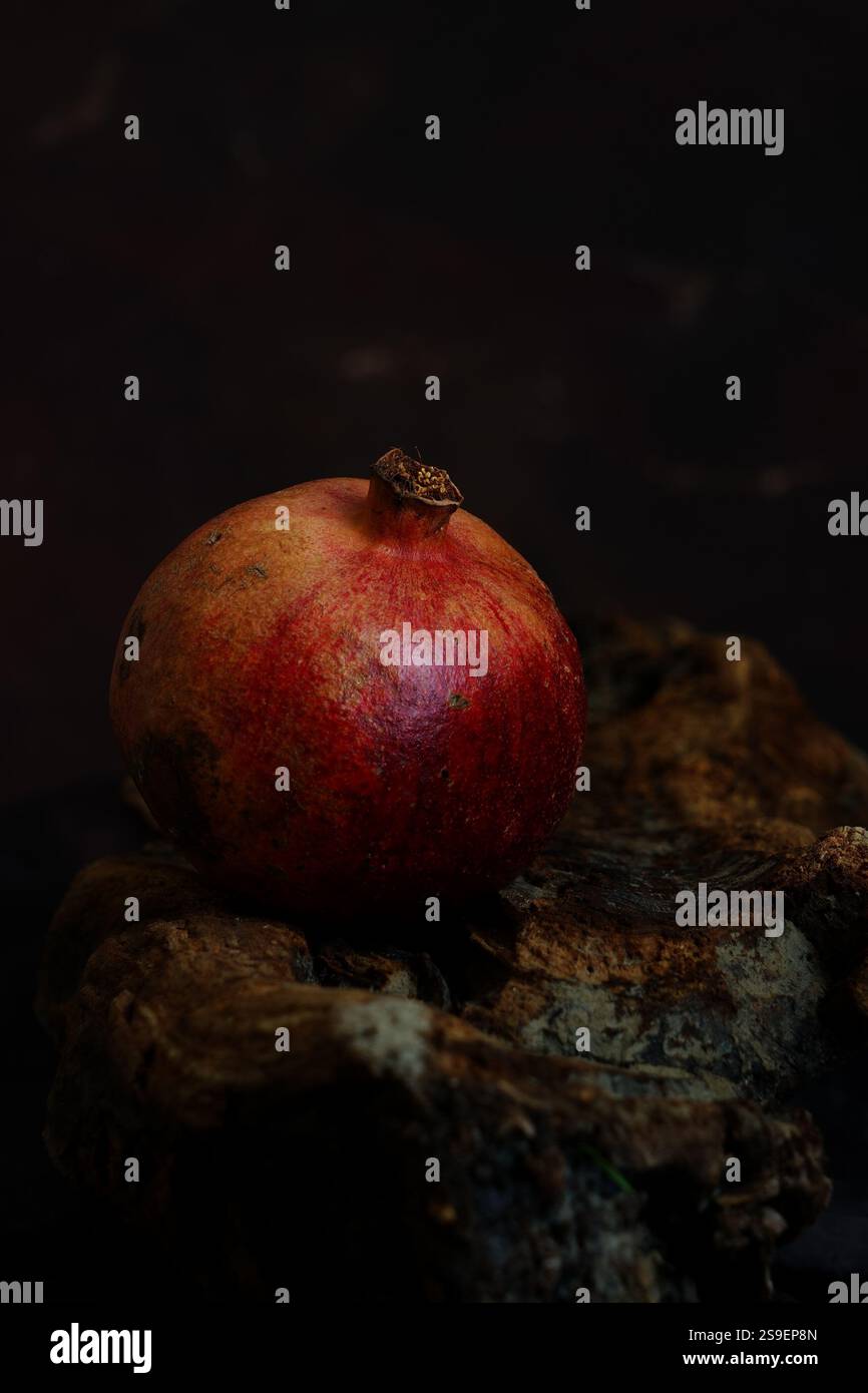 still life in chiaroscuro style Stock Photo - Alamy