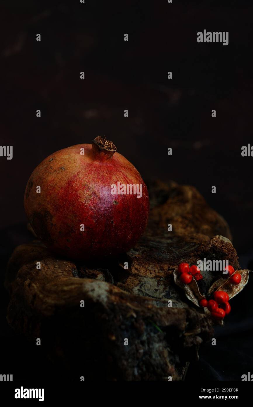 still life in chiaroscuro style Stock Photo - Alamy