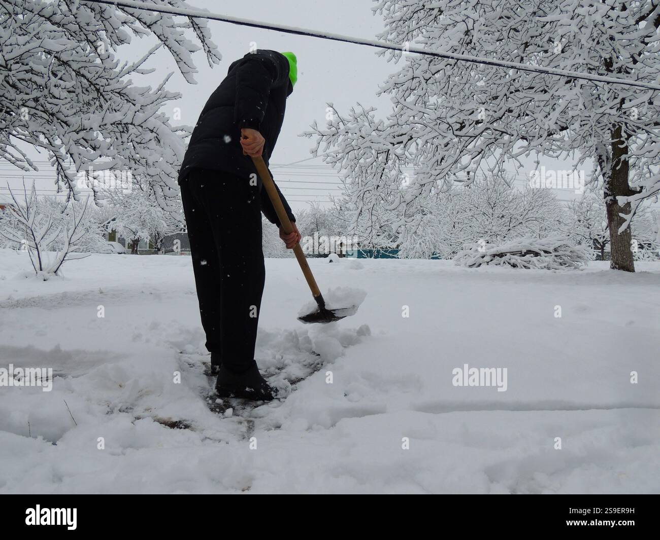 A man removes snowdrifts with a shovel, clears the path from the house ...