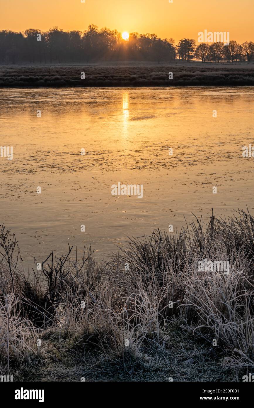 Beautiful Winter sunrise landscape image of frozen fields and grasses ...
