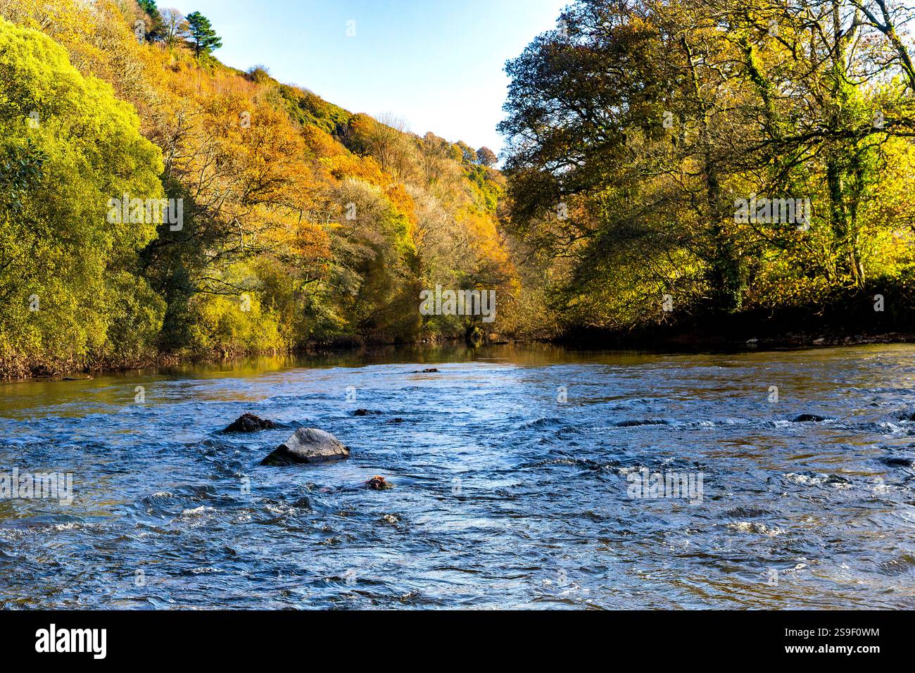 Colourful, Autumn Up River View of the River Torridge: River Valley ...
