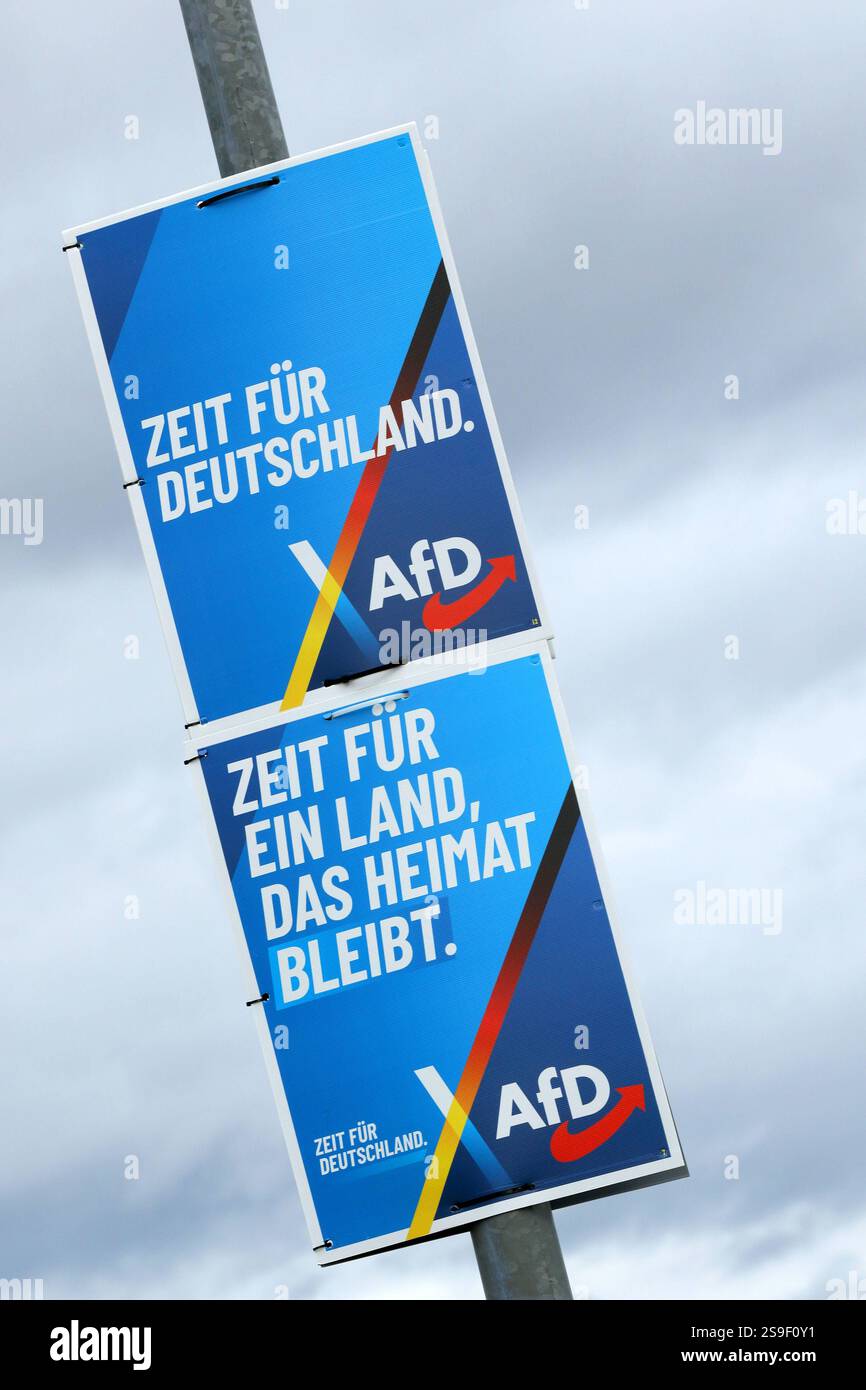 AfD Alternative für Deutschland - Wahlplakate zur vorgezogenen ...